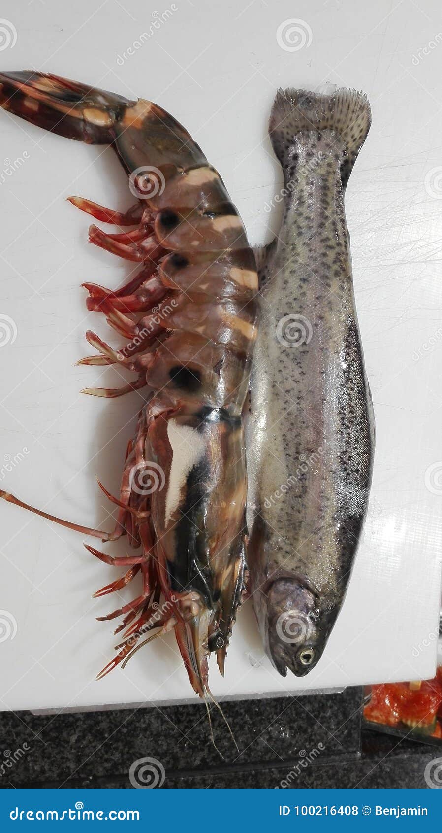Fish and shrimps stock photo. Image of fish, shrimps - 100216408