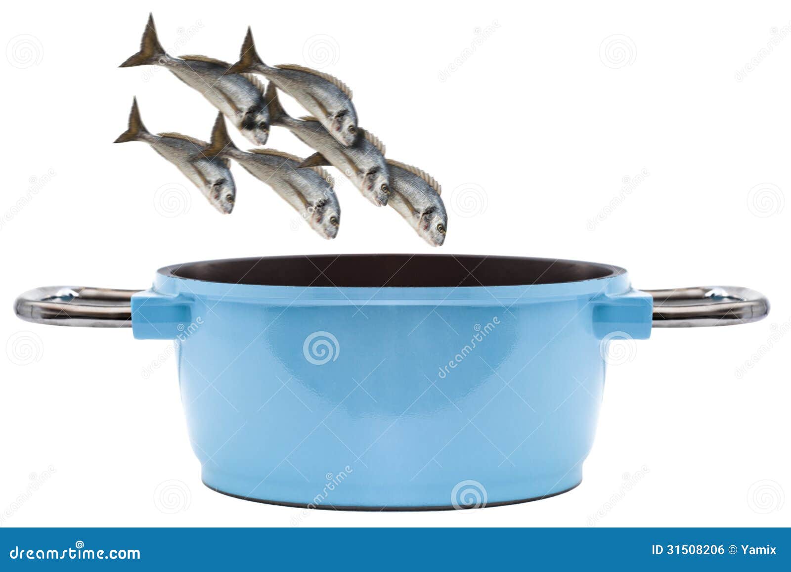 Fish Blue Pan stock photo. Image of soup, multi, physical - 31508206