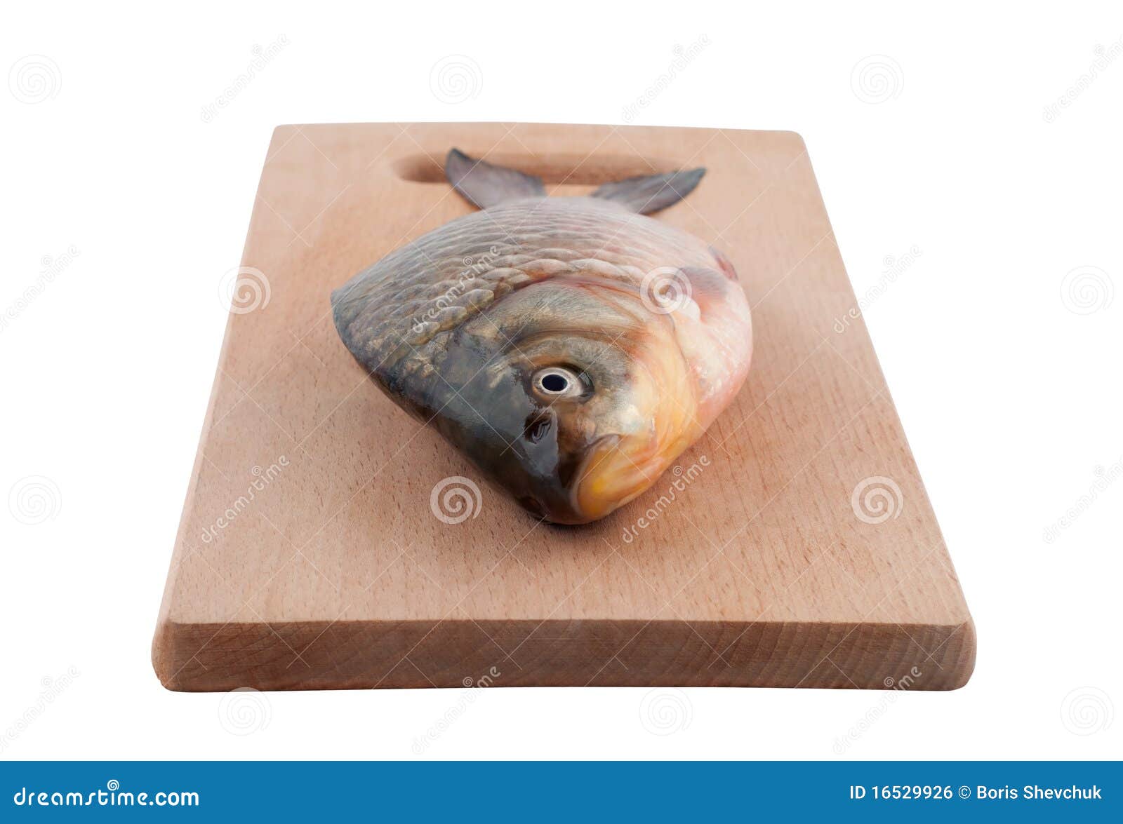 Fish on a board. stock photo. Image of scales, tail, preparation - 16529926