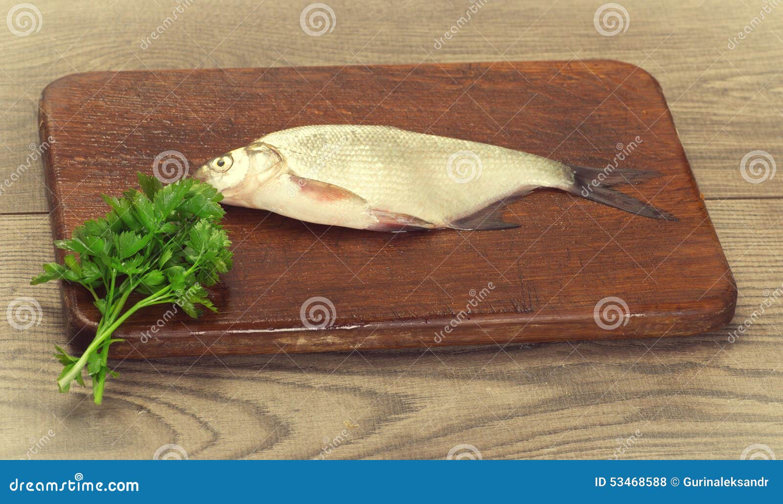 Fish on board stock photo. Image of hand, kitchen, table - 53468588