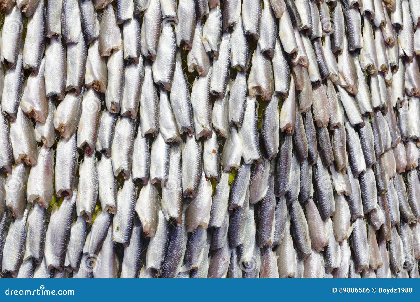 Fish body without head stock photo. Image of frozen, animal - 89806586