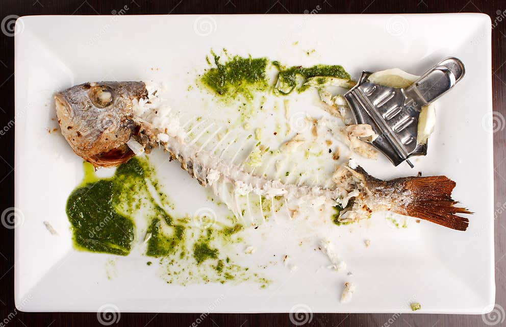 Fish bone stock photo. Image of meal, cuisine, dine, lunch - 14627218