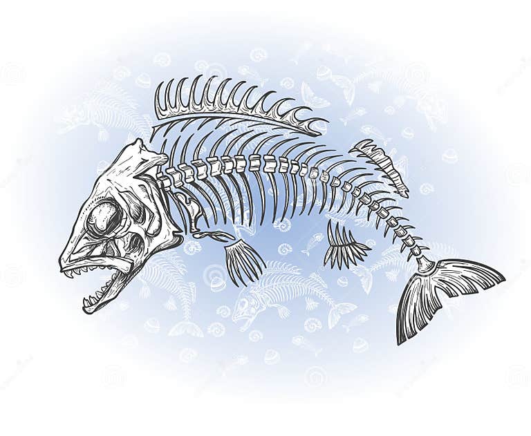 Fish bone drawing stock illustration. Illustration of dark - 75737740
