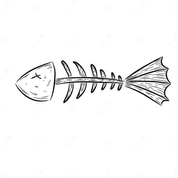 Fish bone, fish skeleton stock vector. Illustration of draw - 87361033