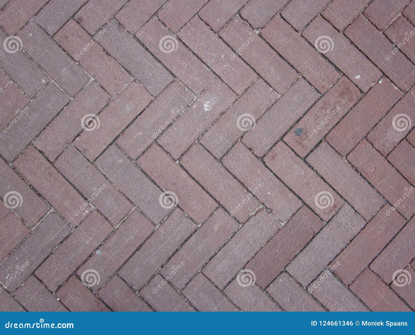 Fish Bone or Herring Bone Pattern of the Pavement Stock Photo - Image ...