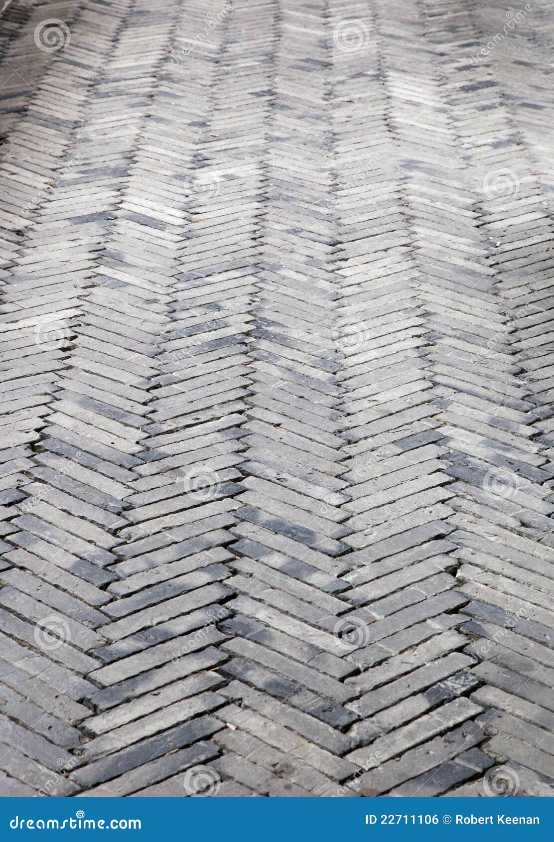 Fish bone pavers stock photo. Image of construction, stone - 22711106