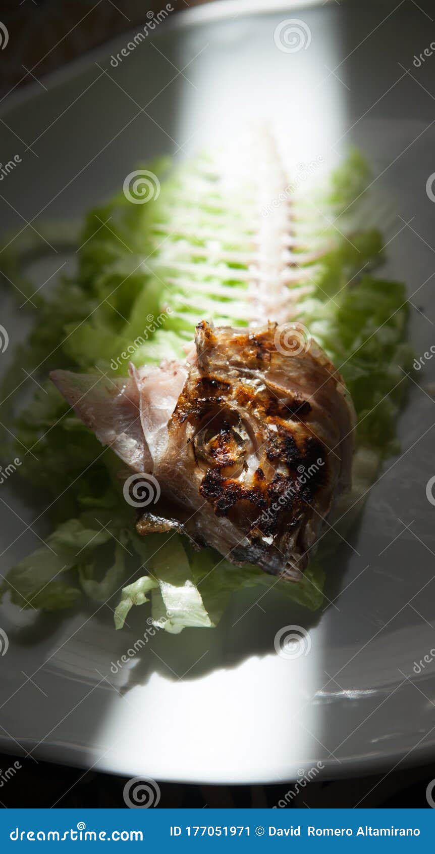 Fish Bones on Ceramic Plate with Side Reflexion Stock Image - Image of ...