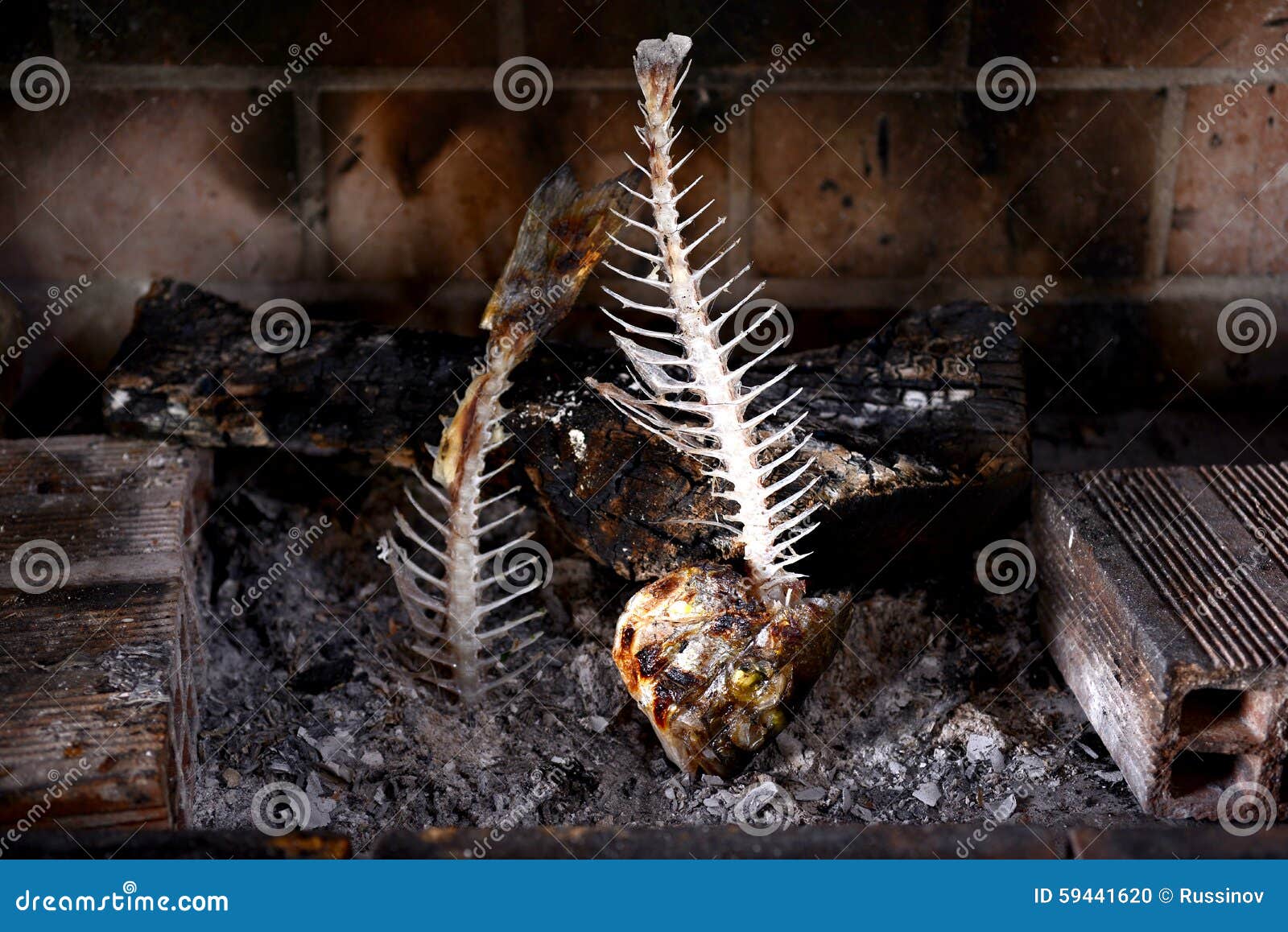 Fish Bones of Gilt-head Bream - Sparus Aurata Stock Photo - Image of ...