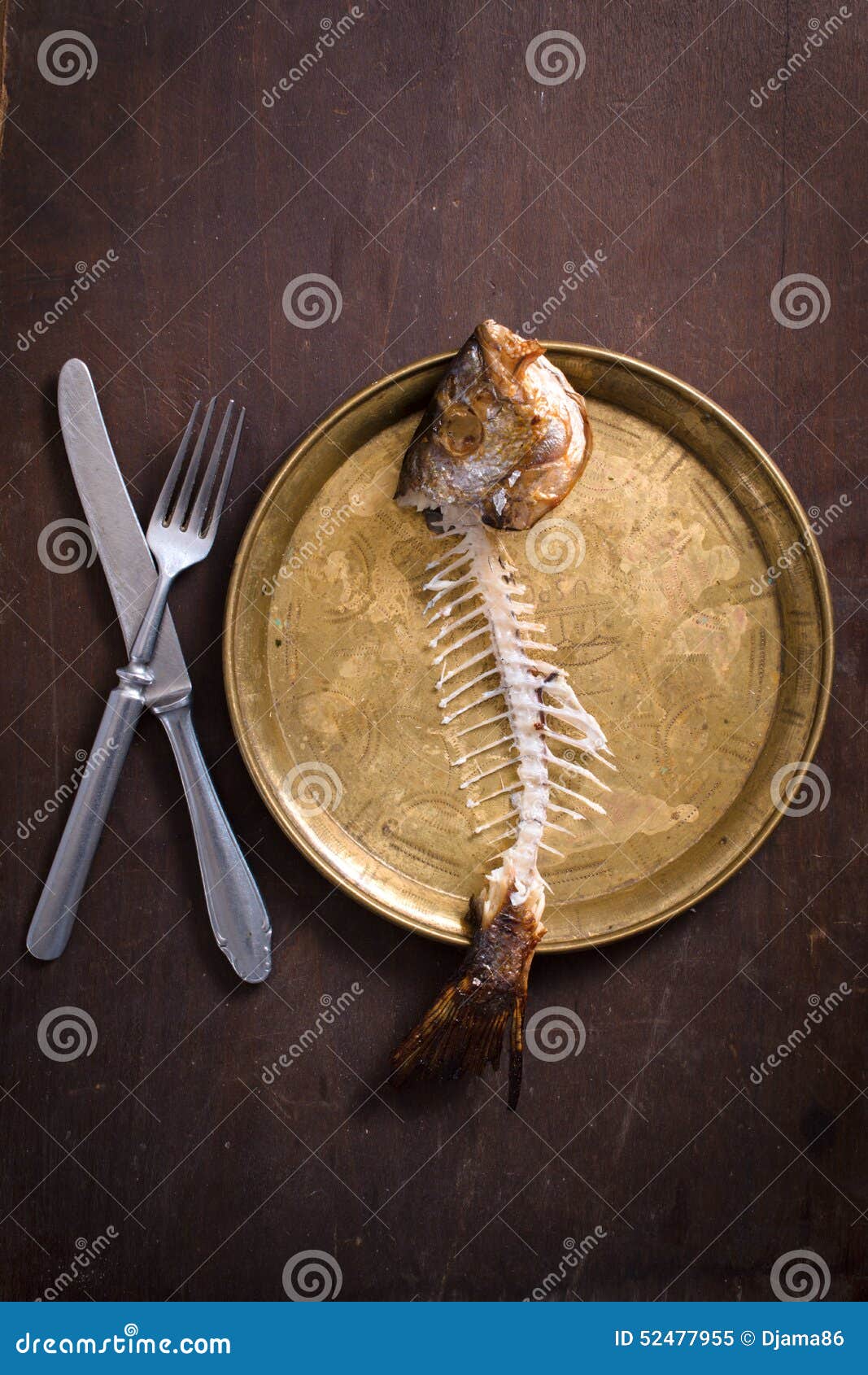 Fish bones stock image. Image of closeup, blank, nature - 52477955