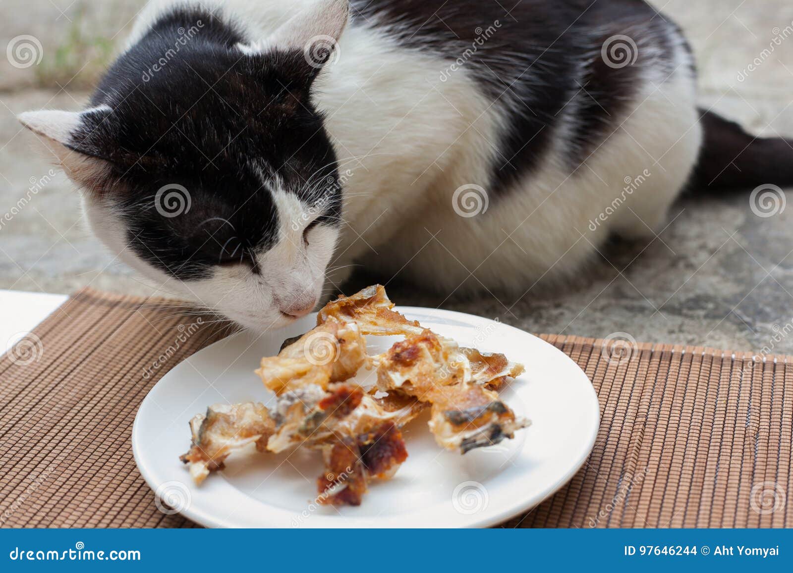 Fish bones on a plate stock photo. Image of fish, dinner - 97646244