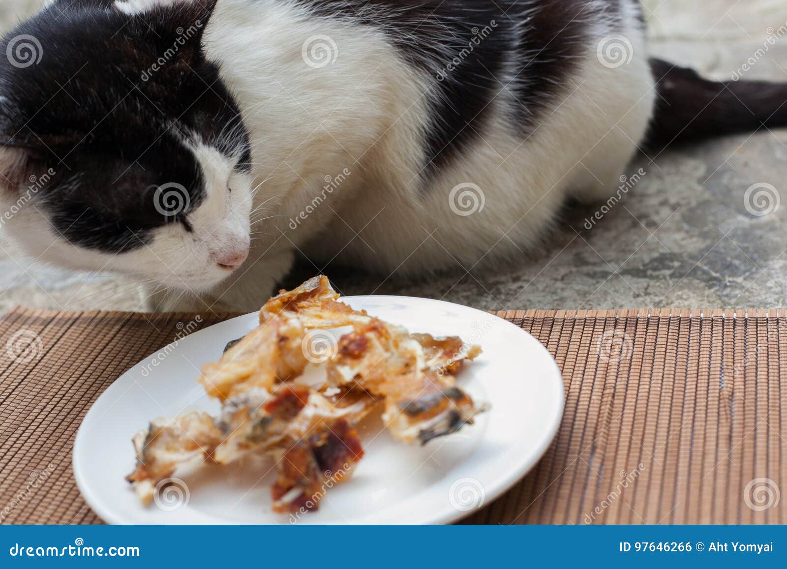 Fish bones on a plate stock photo. Image of cooked, fork - 97646266