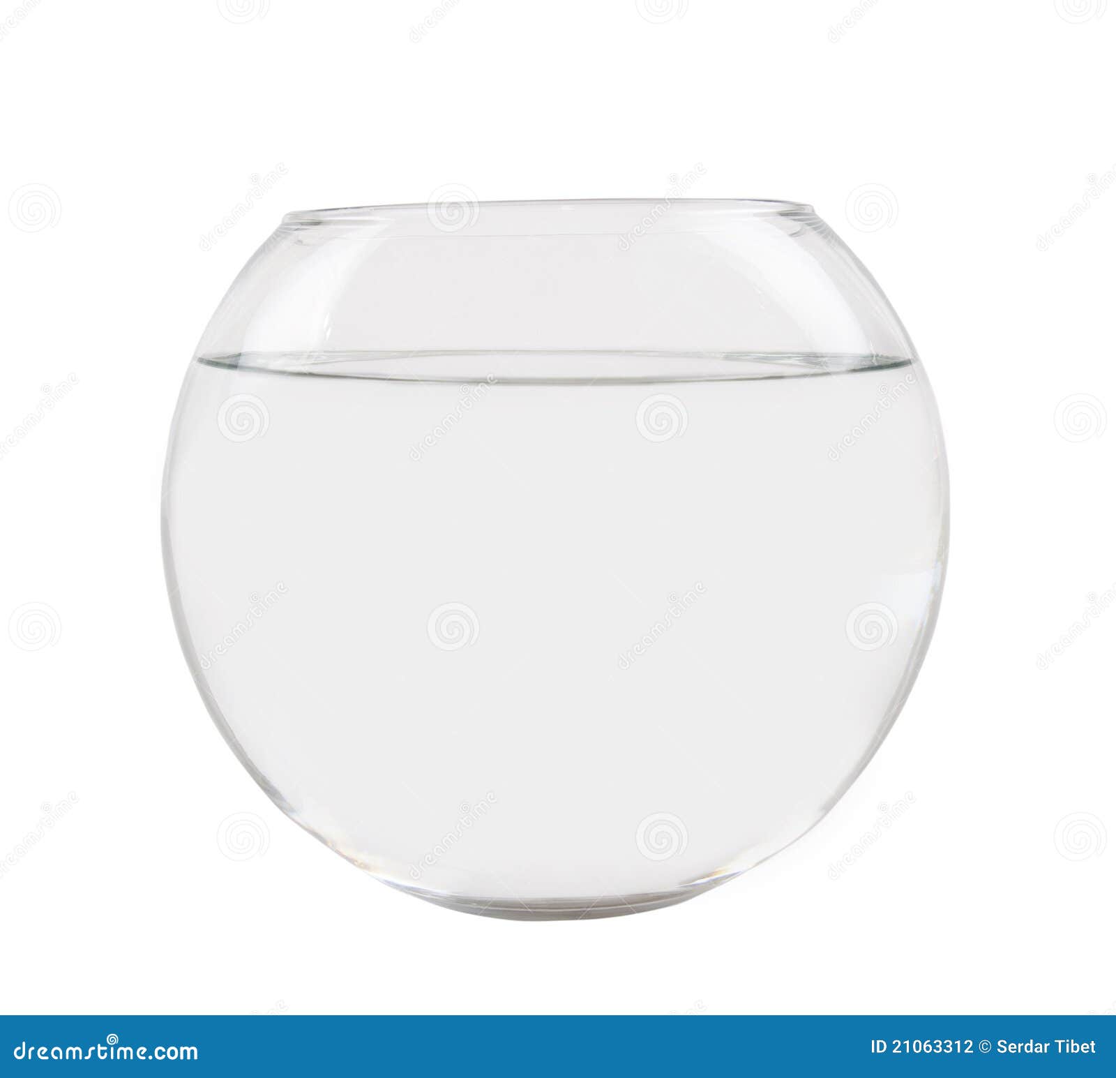 Fish bowl stock photo. Image of fish, fresh, aquarium - 21063312