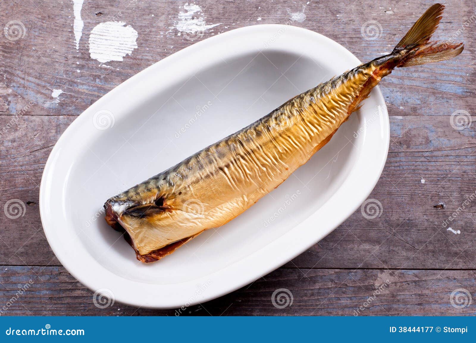 Fish in bowl stock image. Image of mackerel, healthy - 38444177