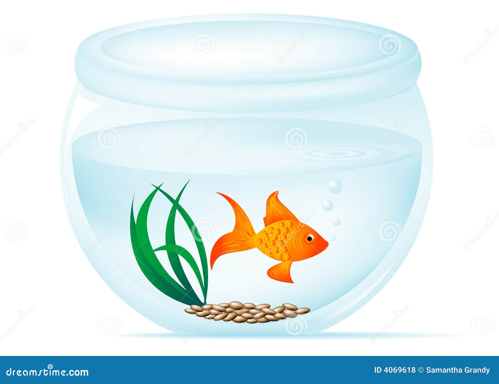 Fish Bowl stock vector. Illustration of fishbowl, glass - 4069618