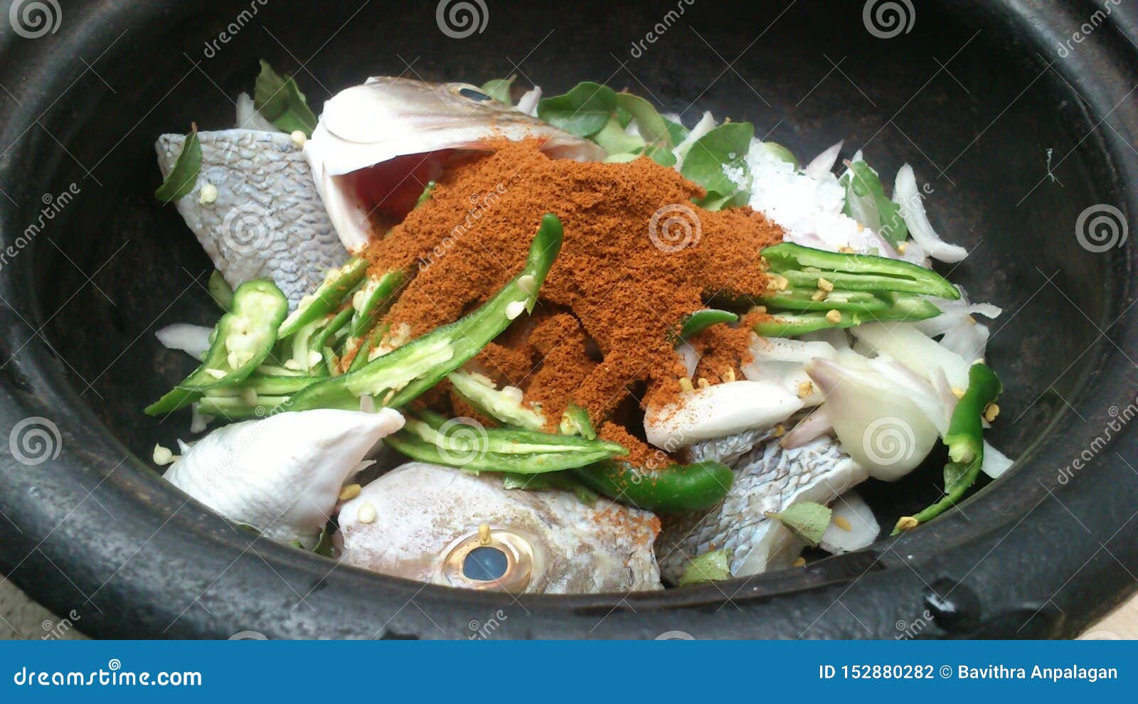Fish stock photo. Image of animal, color, design, marine - 152880282