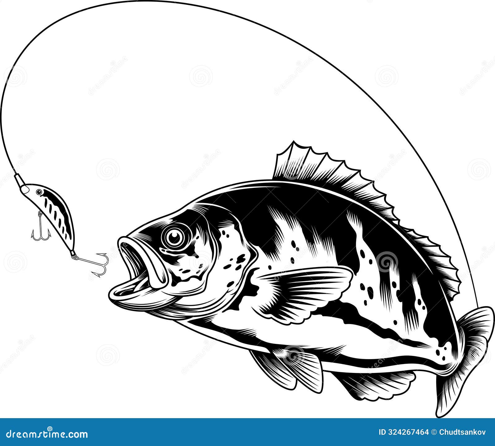 Outlined Bream Fish Catching the Fishing Lure Graphic Design Stock ...