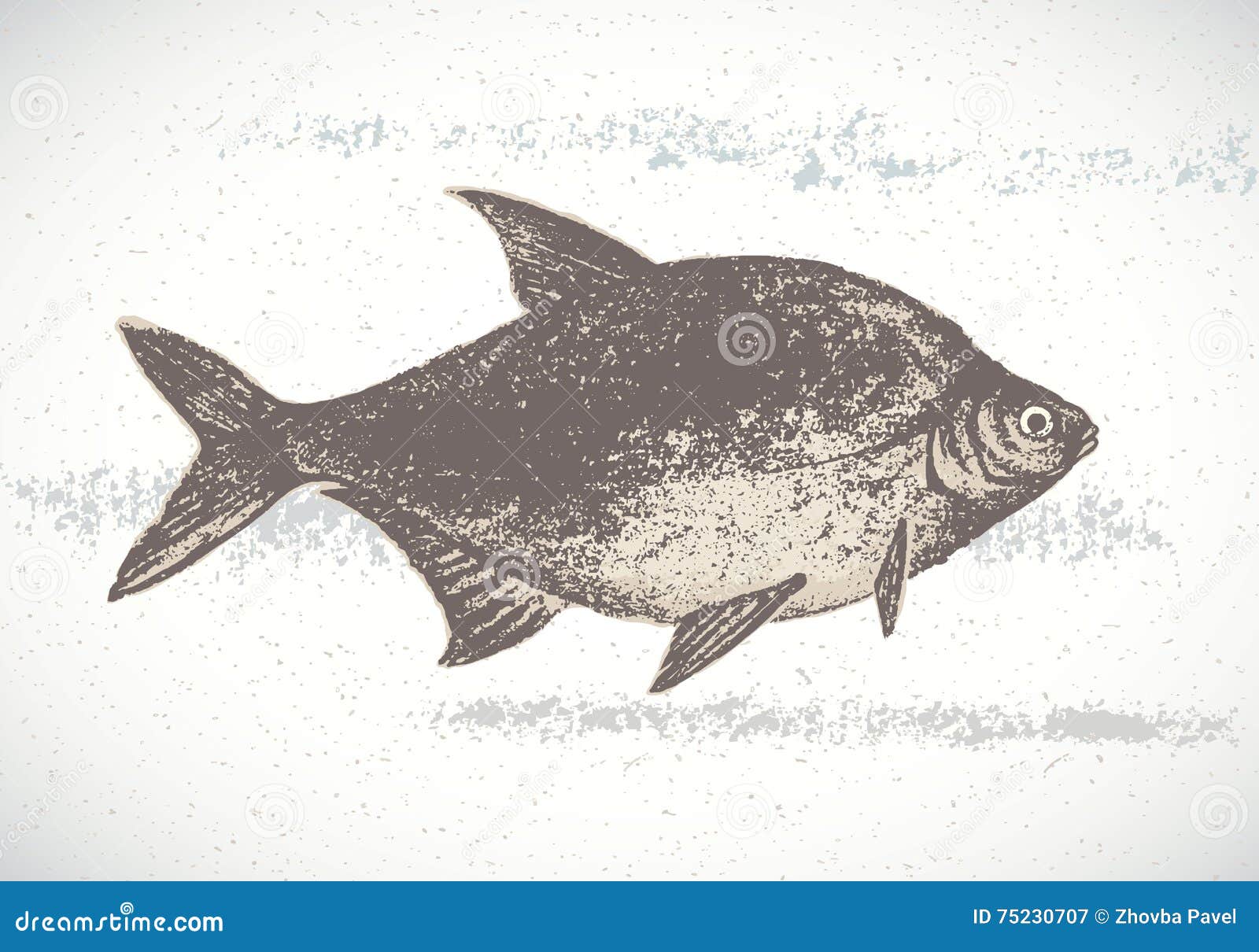 Sea Bream Silhouette Cartoon Vector | CartoonDealer.com #104005129
