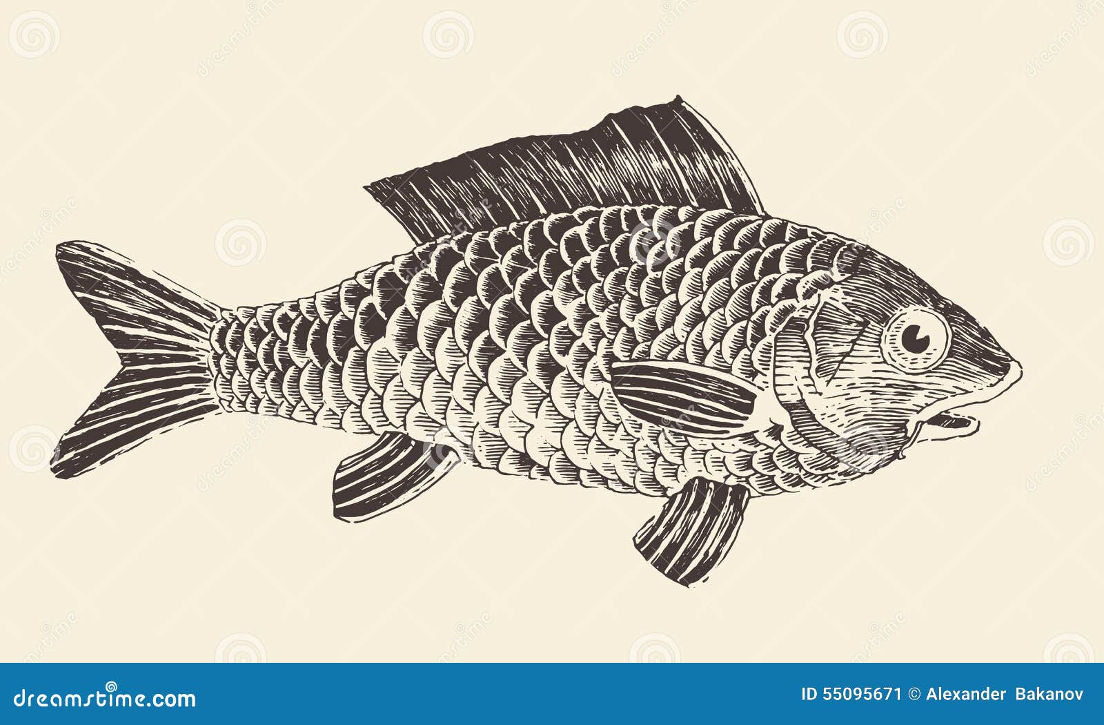 Vintage Fish Illustration