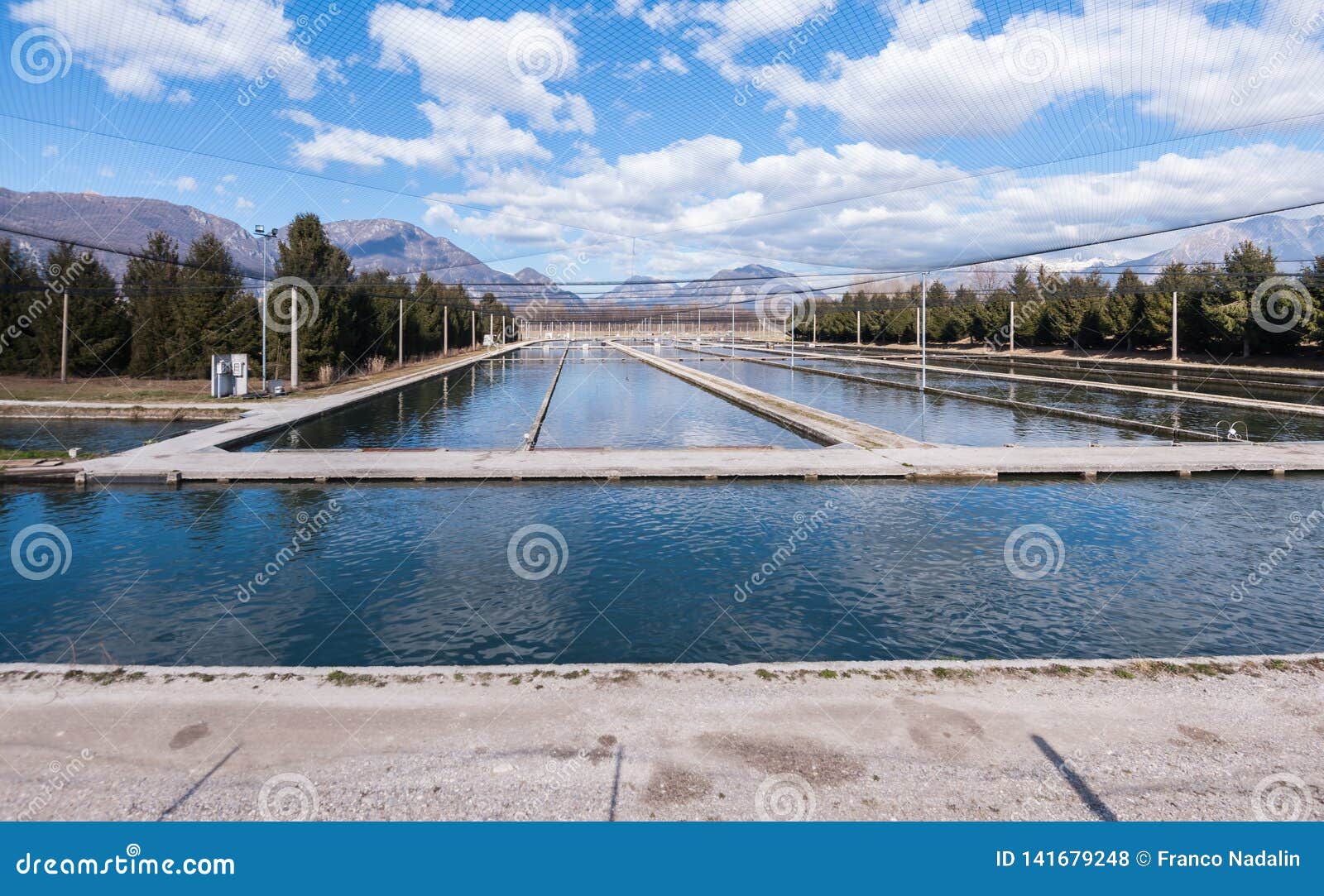 The Trout Farm And Garden At The Village Of Ribeiro Frio On The Island ...