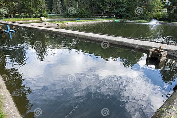 Fish breeding ponds stock image. Image of aquaculture - 78201007