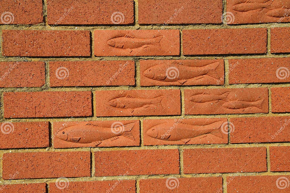 Fish bricks. stock photo. Image of wall, build, construct - 21637314