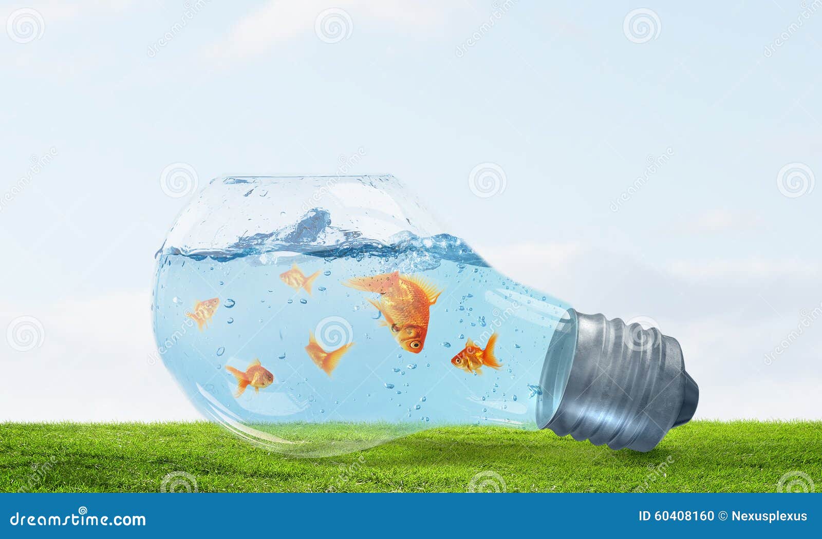 Fish in bulb stock photo. Image of glass, environment - 60408160