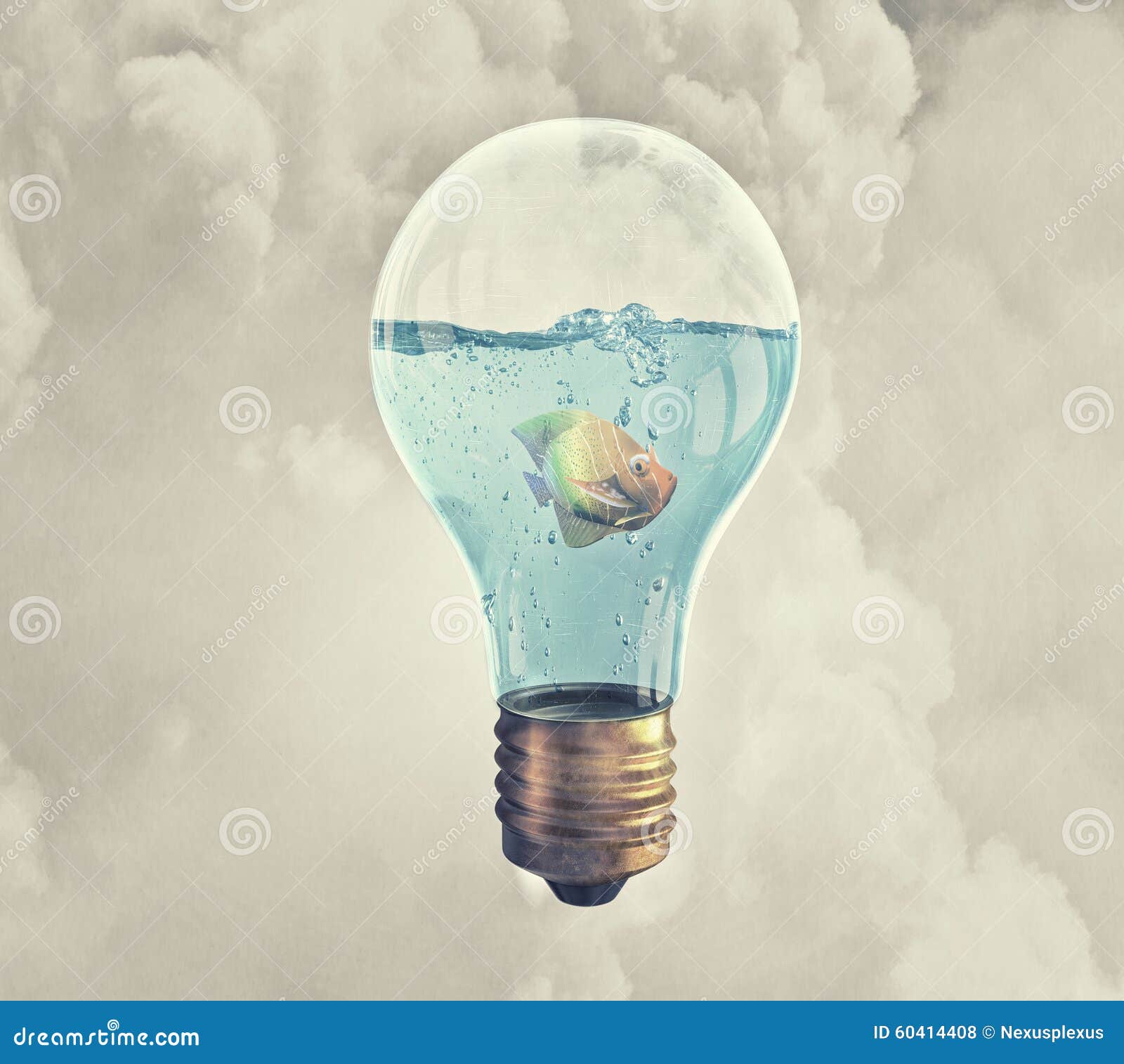 Fish in bulb stock photo. Image of swim, conservation - 60414408