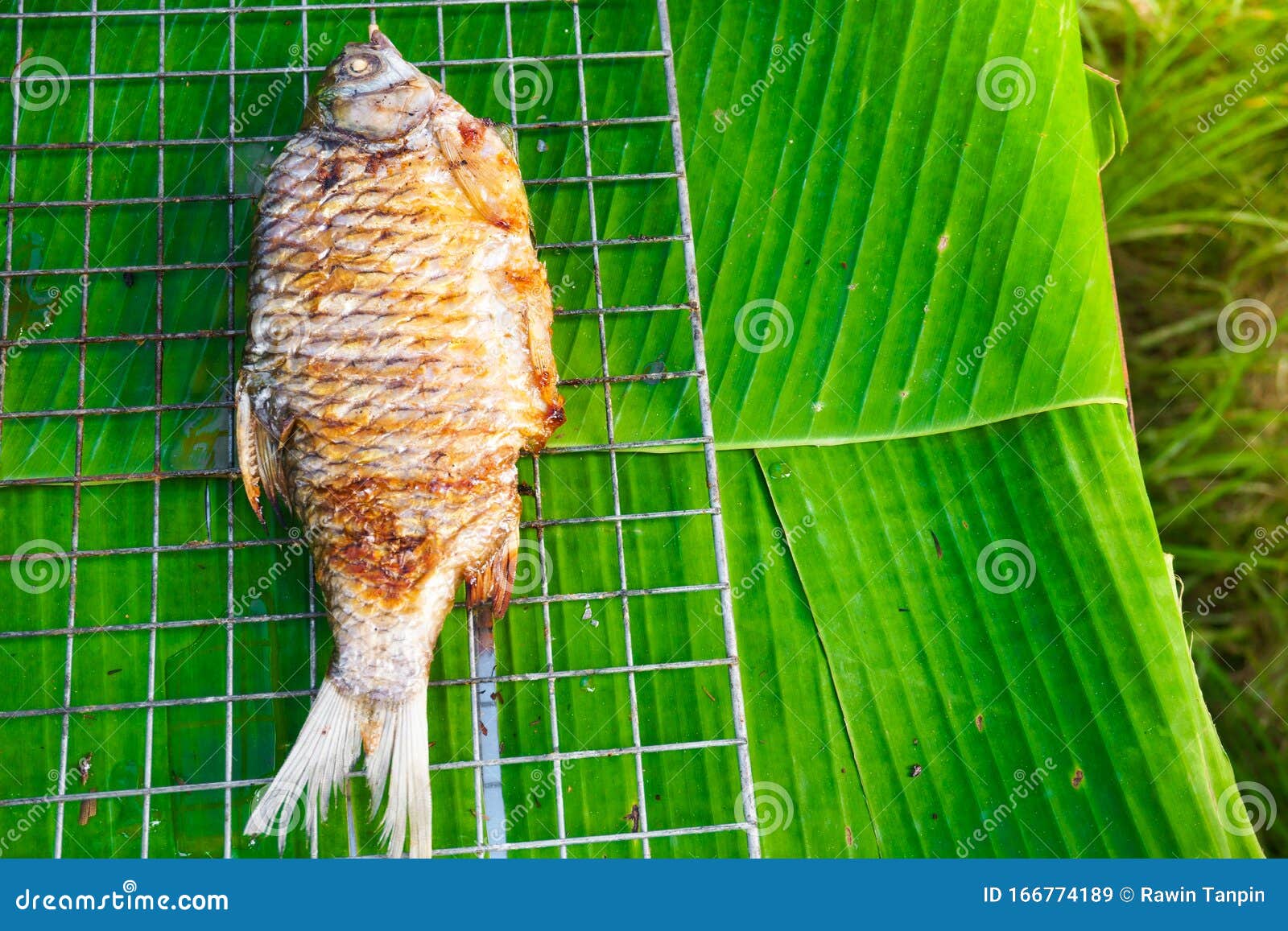 Fish Burned, Cooked and Placed on Green Banana Leaves Stock Image ...