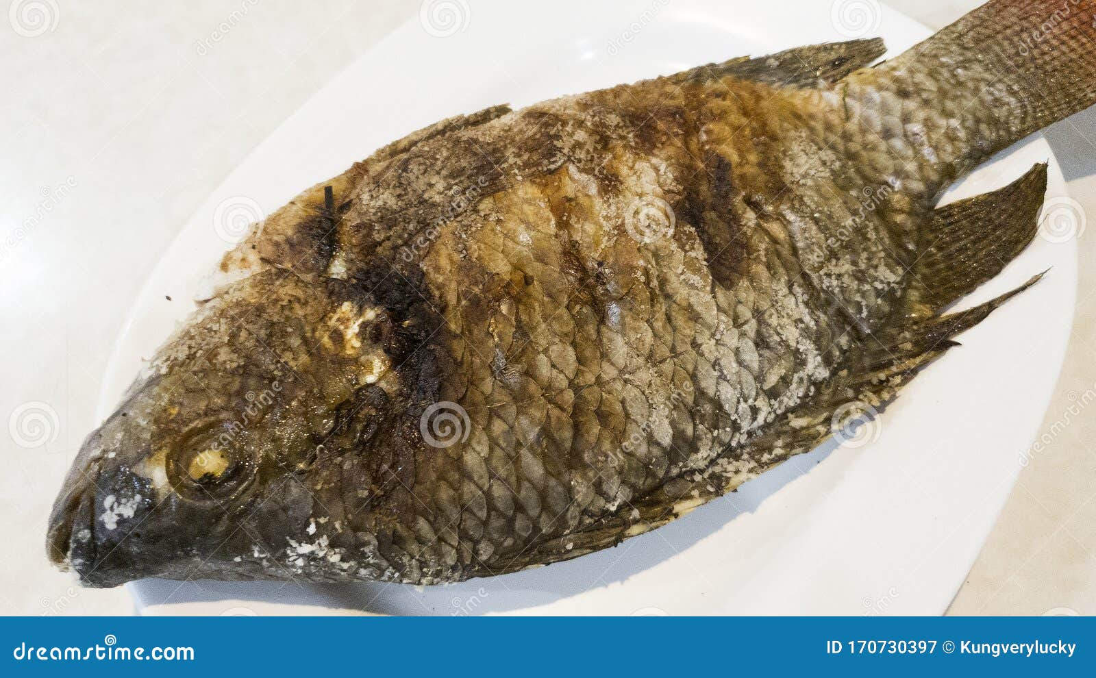 Fish Burned on the White Plate Stock Image - Image of lemon, plate ...