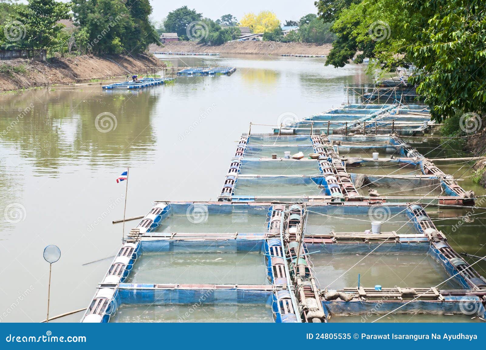 Fish Cage Farming in the River. Stock Image - Image of coast, fishing ...