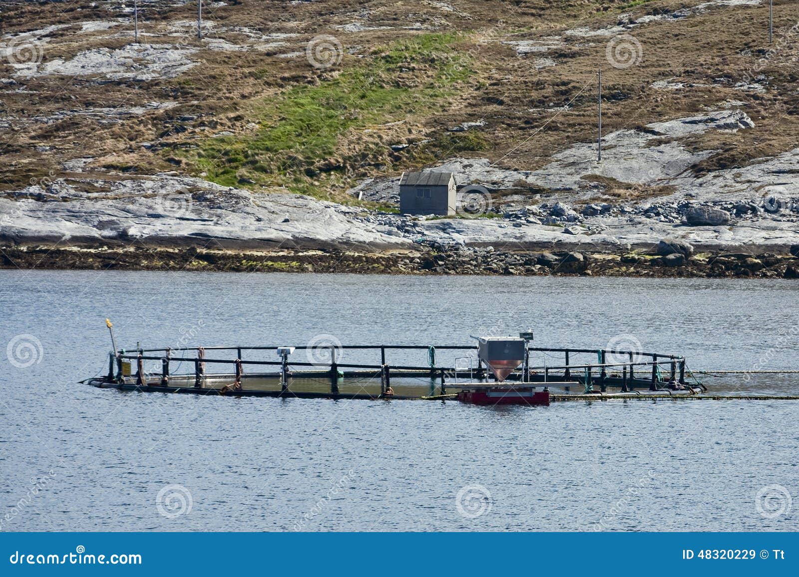 Fish cage stock image. Image of bays, aquaculture, marine - 48320229