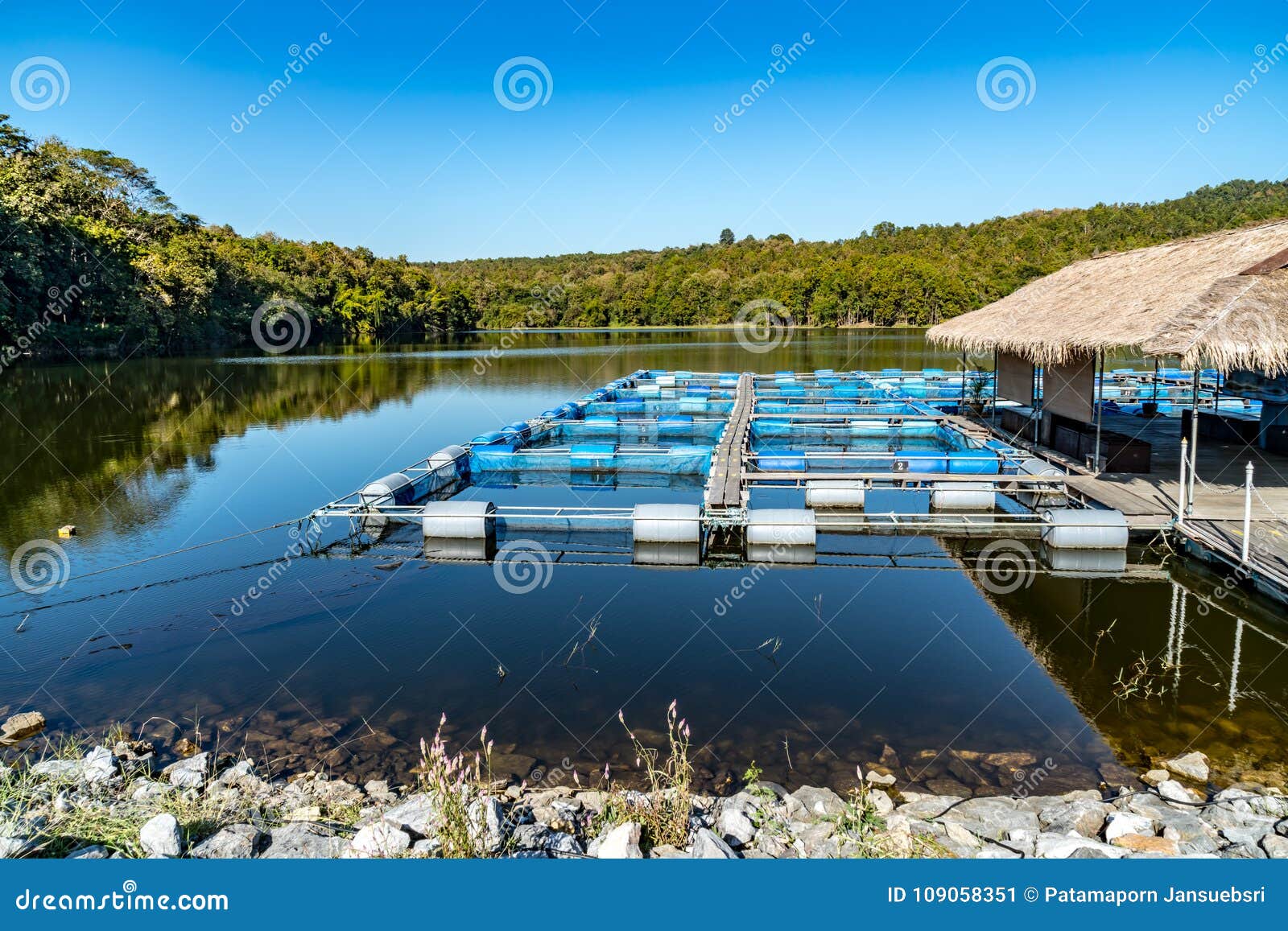 Fish cage stock image. Image of agriculture, floating - 109058351