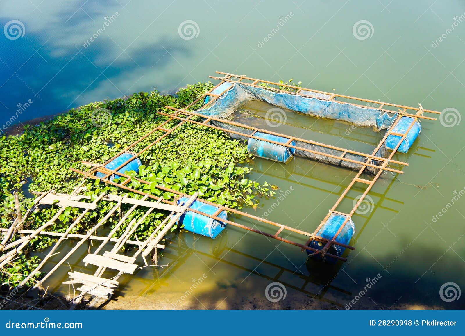 Fish cages stock photo. Image of growth, coast, pool - 28290998