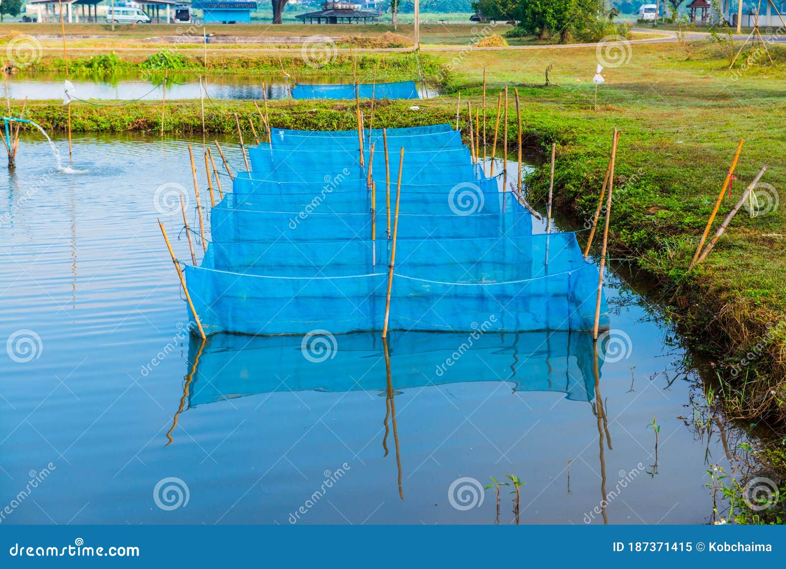 Fish cages in farm stock image. Image of culture, aquaculture - 187371415