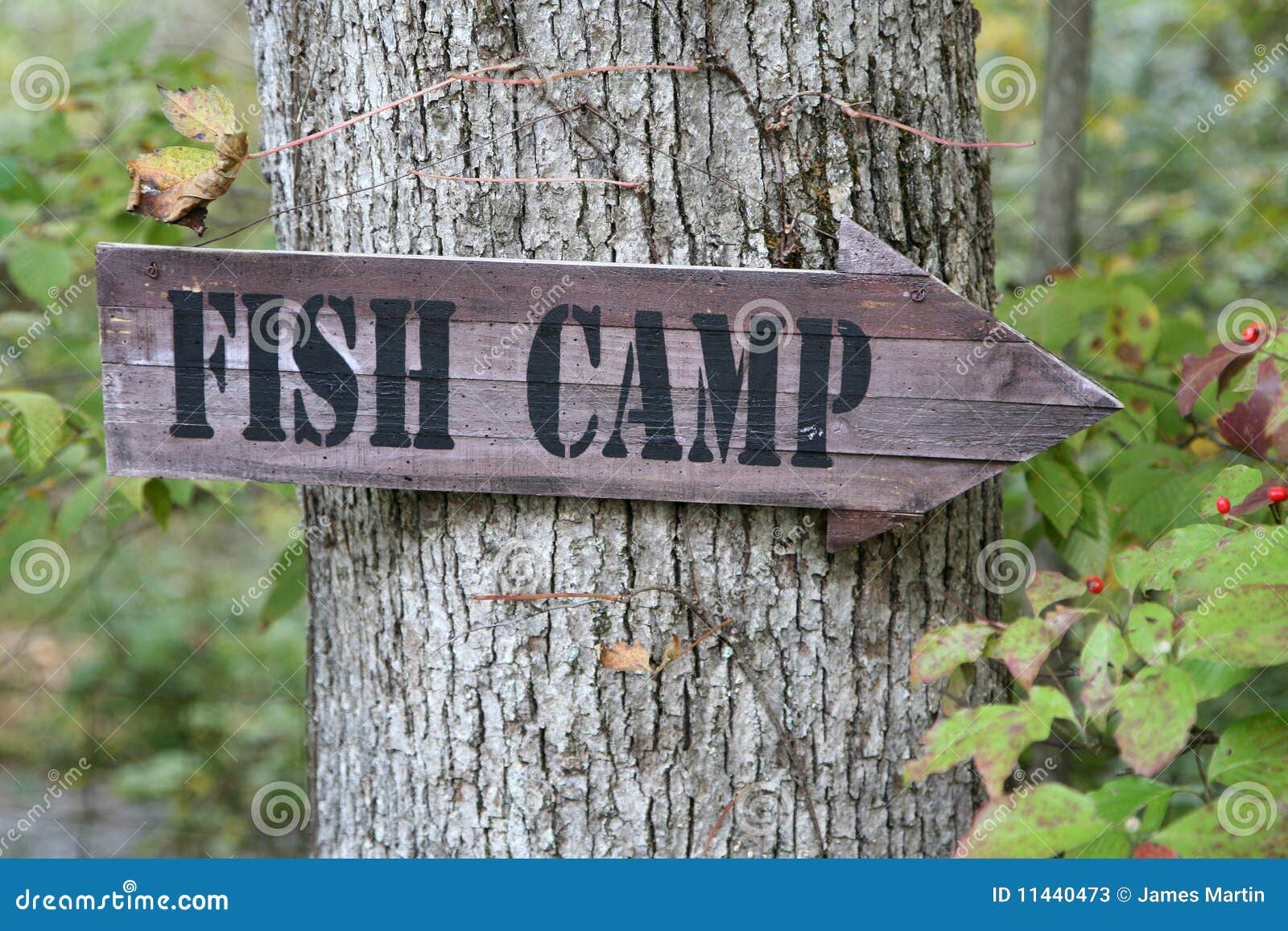 Fish camp sign stock image. Image of destination, summer - 11440473
