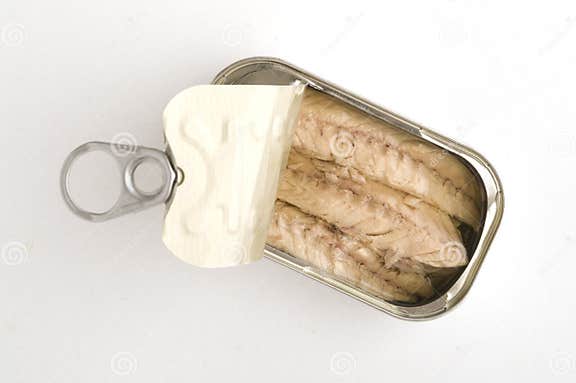 Fish in a can stock image. Image of spring, alimunium - 19424015