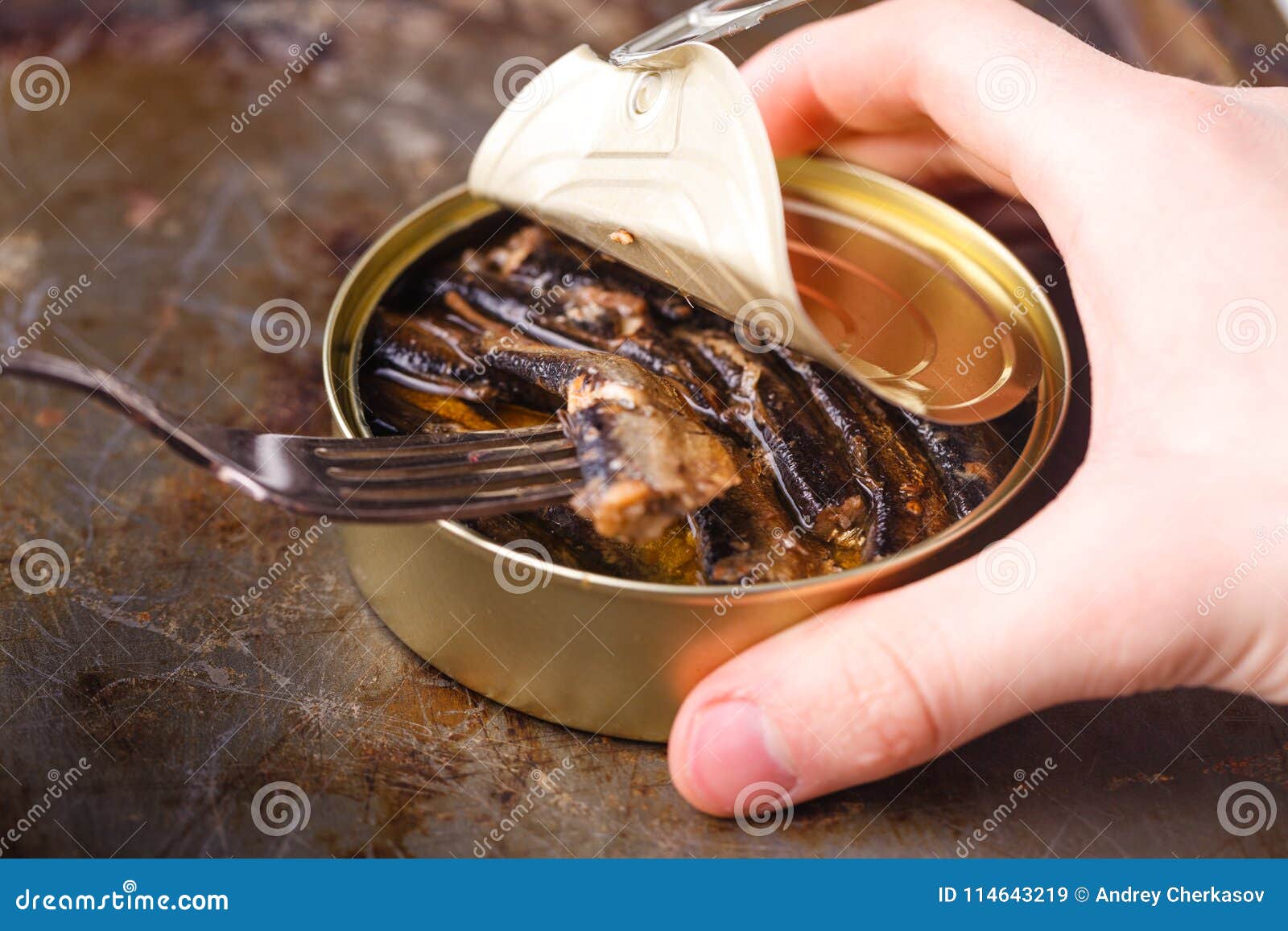 Fish Can with Can Opener on Wooden Table Stock Image - Image of cooking ...