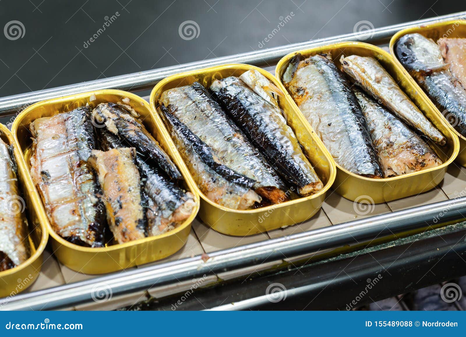 Fish Cans on a Plate Conveyor. Stock Photo - Image of aluminum, product ...