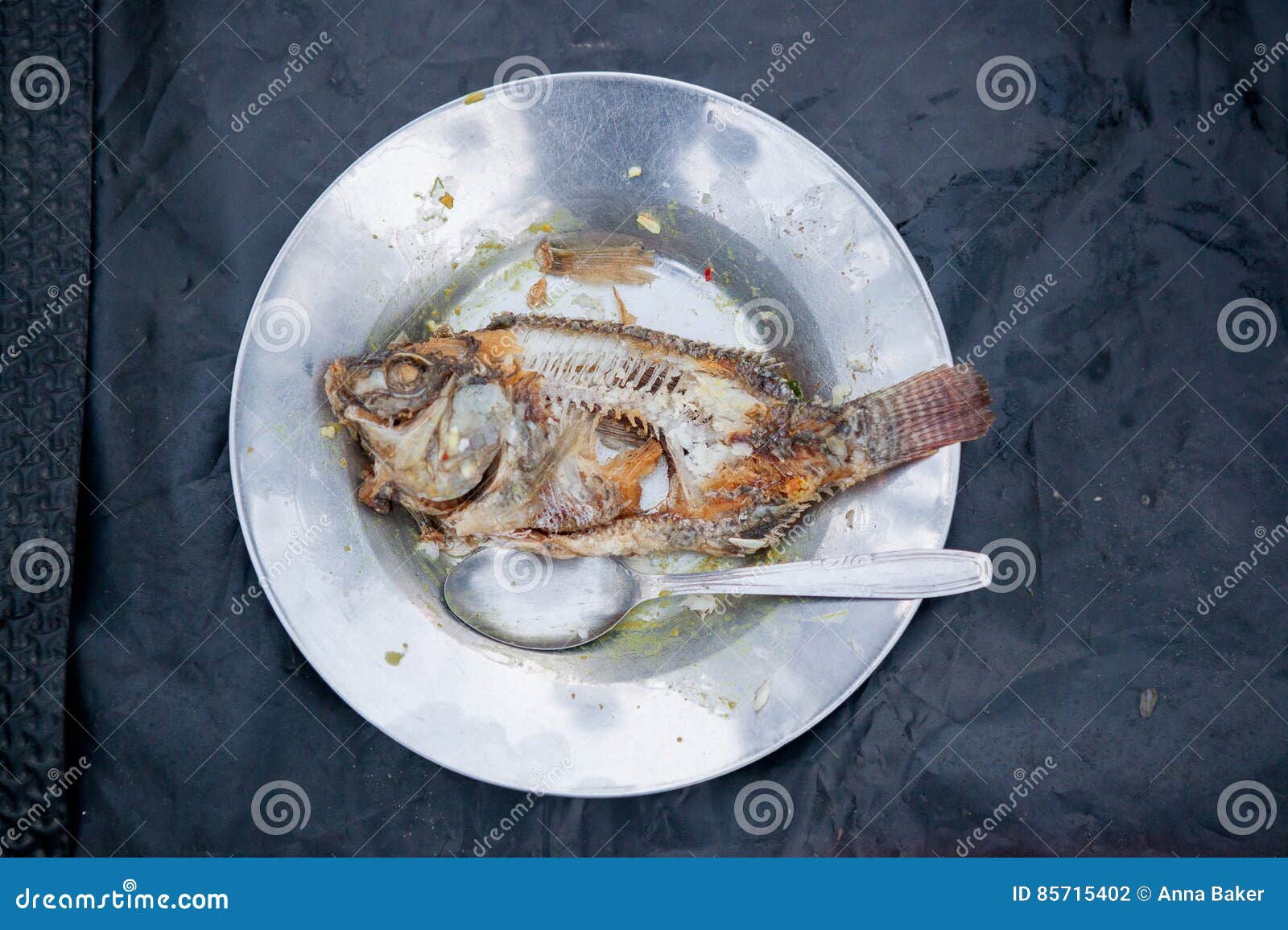 Fish Carcass stock photo. Image of spoon, jungles, carcass - 85715402