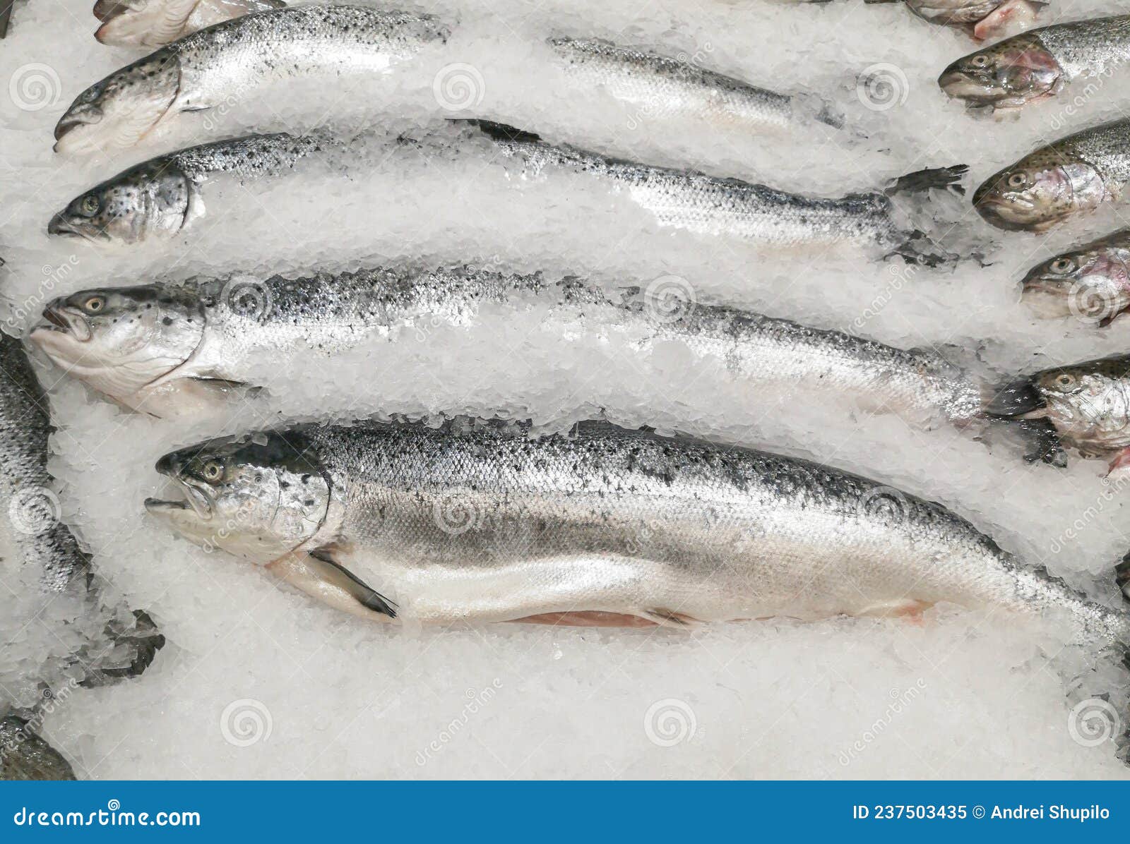 Fish Carcasses in Ice on the Counter Stock Image - Image of natural ...
