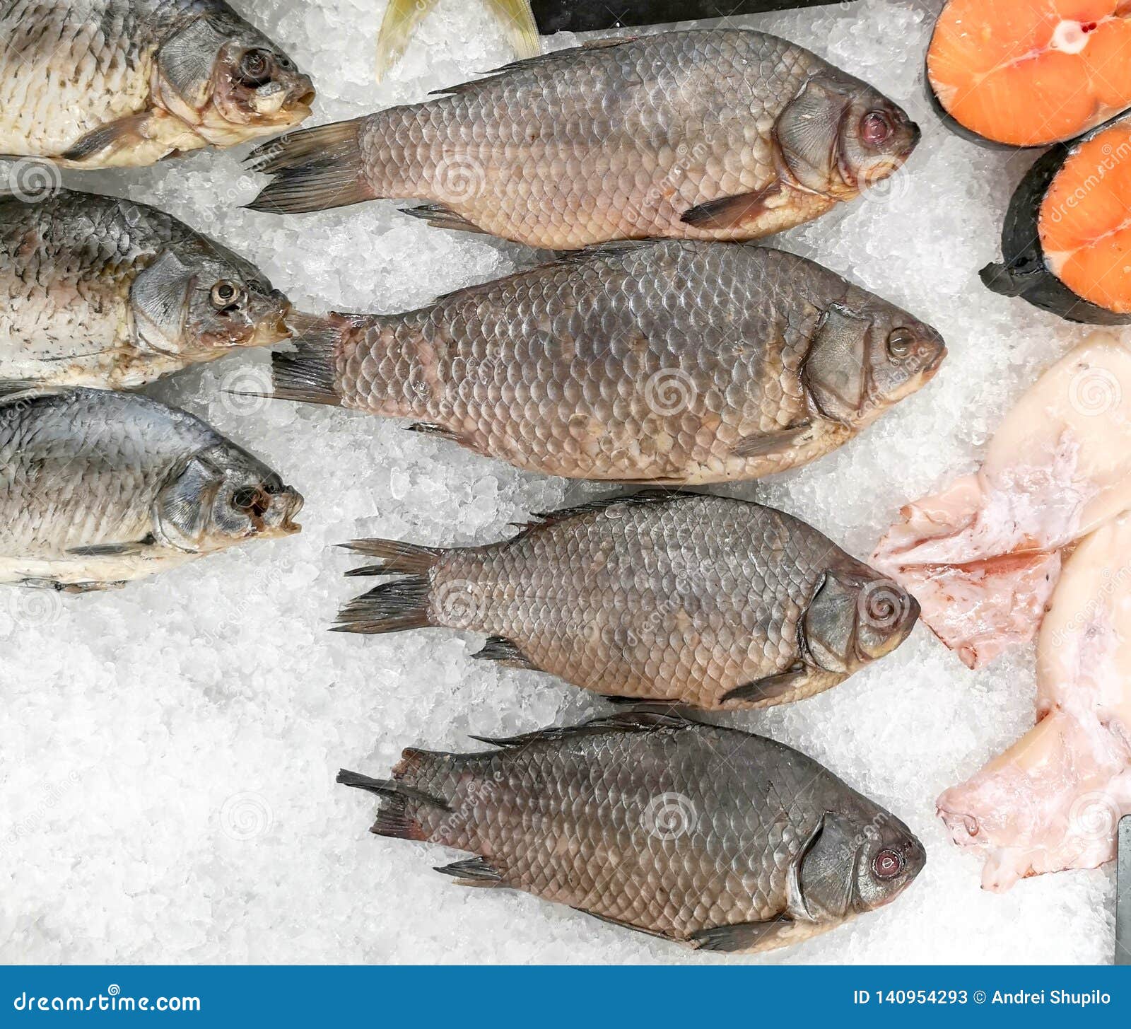 Fish Carp in the Ice on the Shelf of the Market Stock Image - Image of ...