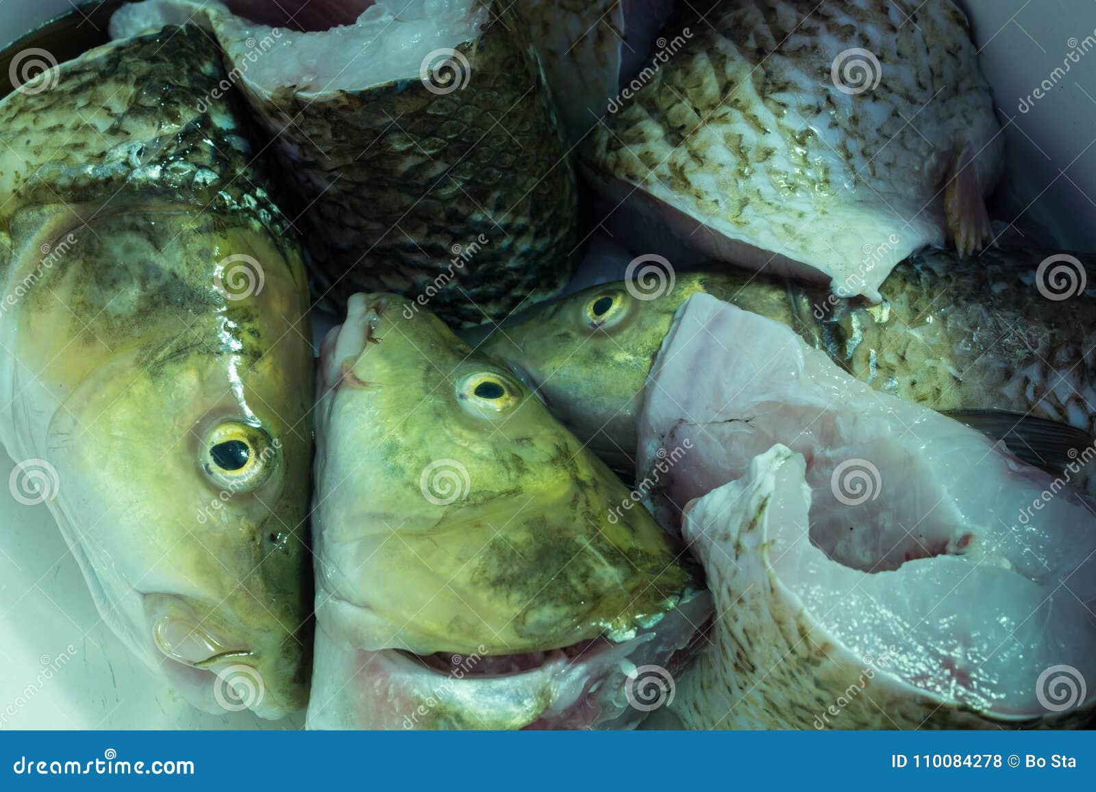 Fish carp parts in bowl stock photo. Image of fish, carp - 110084278