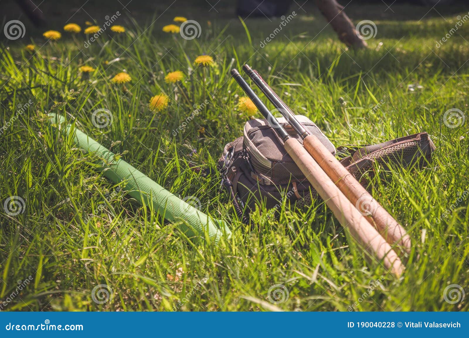 Fish catch. Fly fishing stock photo. Image of sport - 190040228