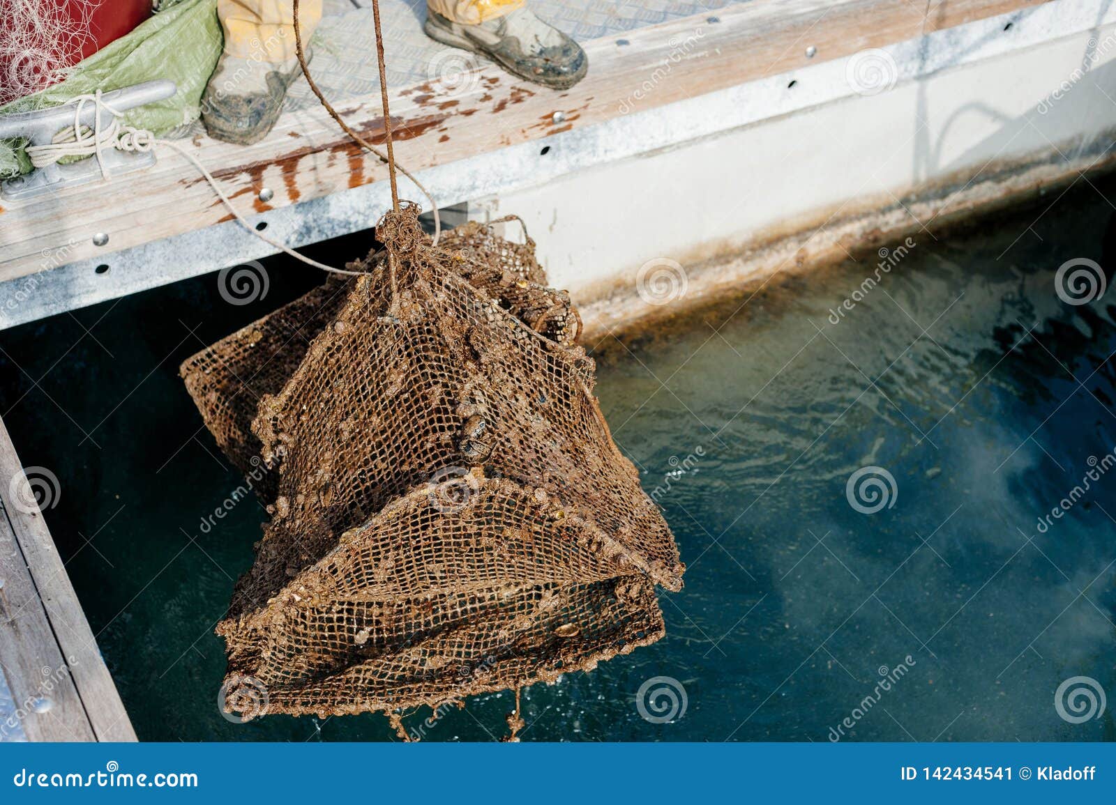 Fish Catch in the Net Taken by Fisherman on Shore Stock Image - Image ...