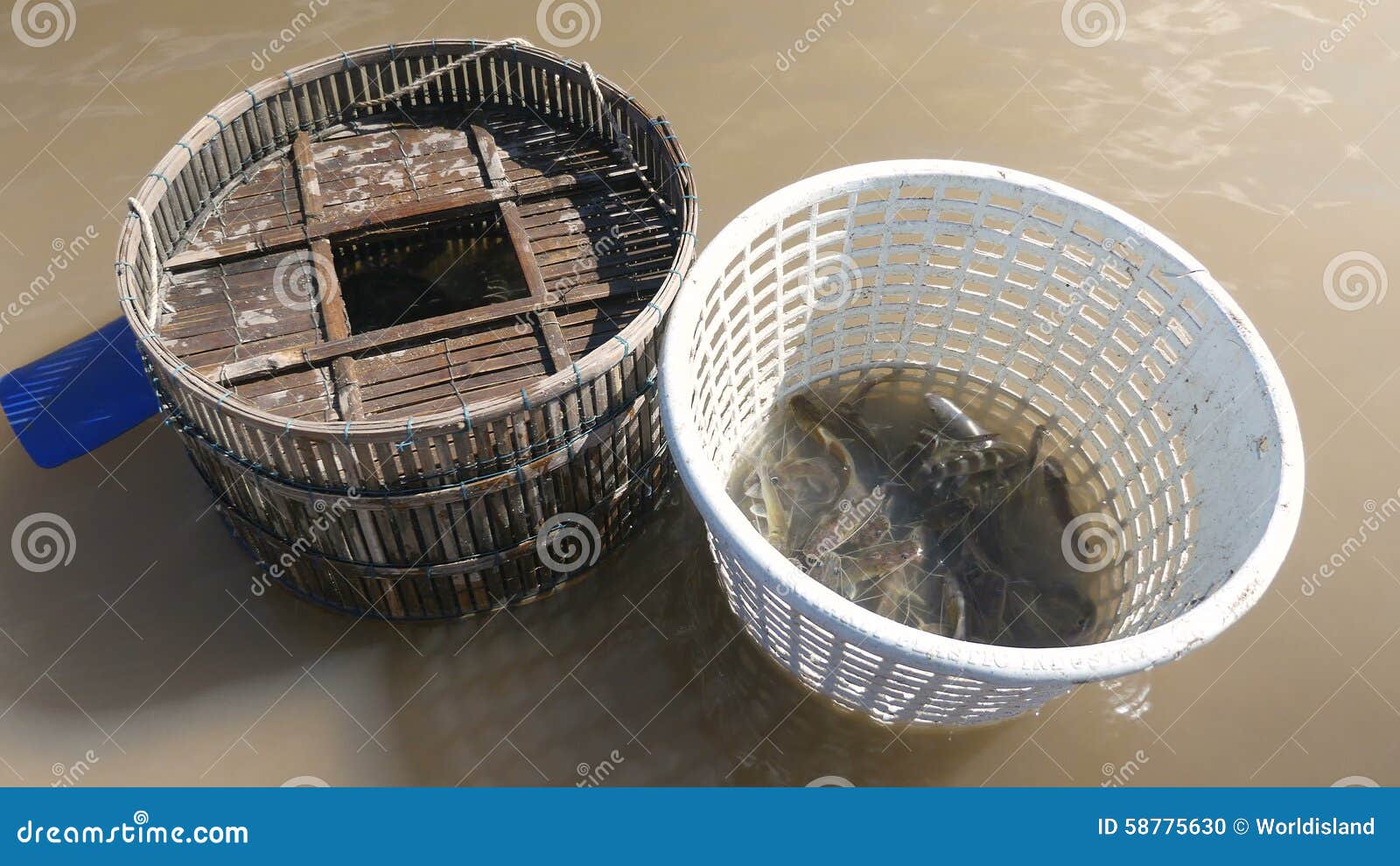 Fish Catch Kept in Bamboo Basket and Plastic Basket Soaking into ...