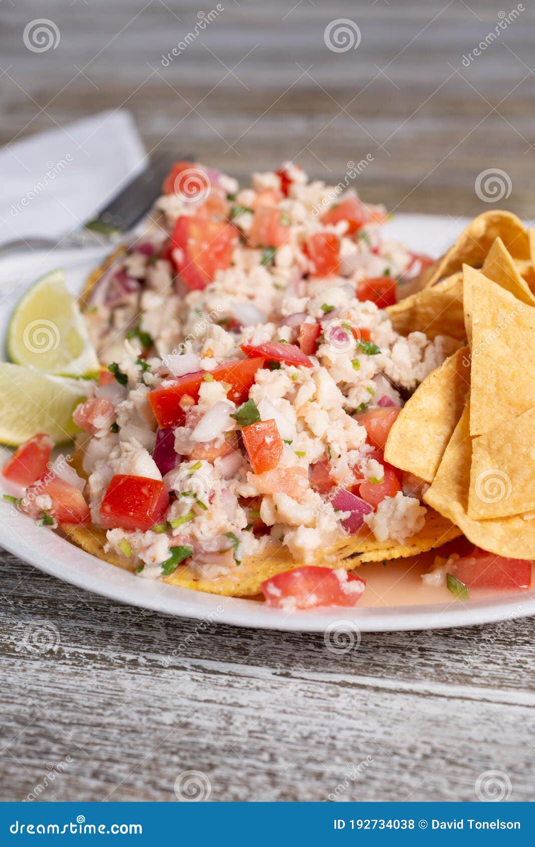 Fish ceviche plate stock photo. Image of store, dish - 192734038