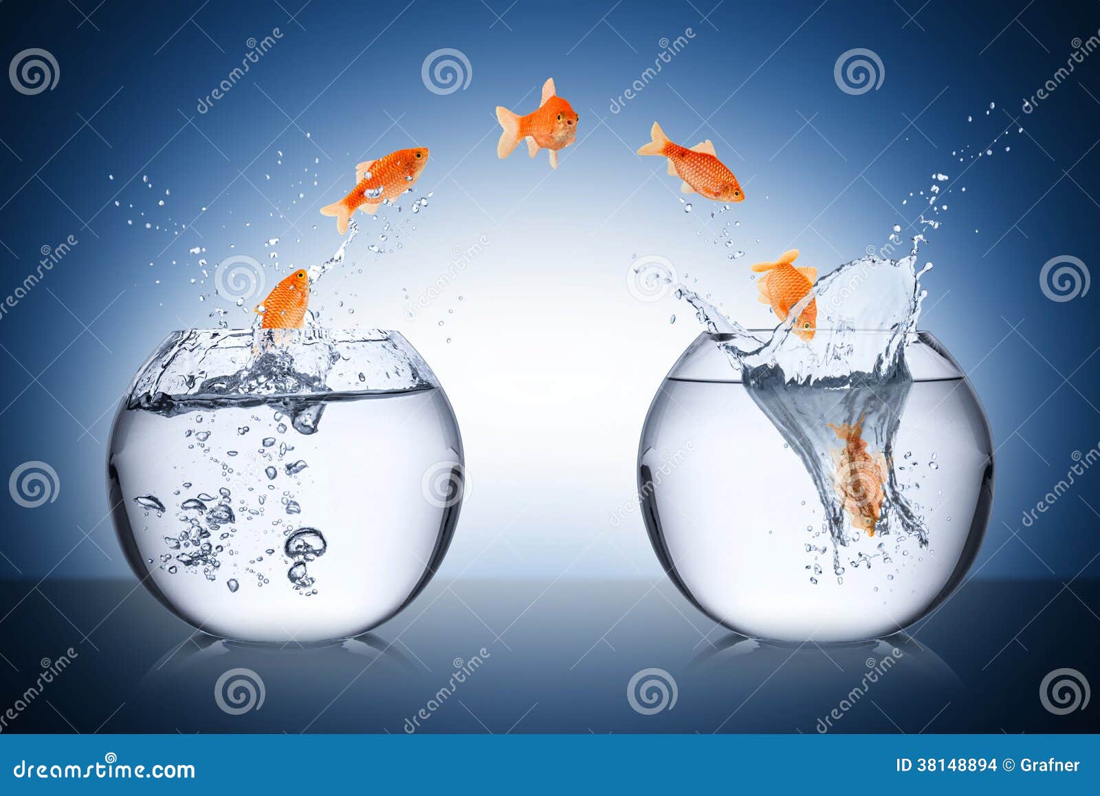 Fish change concept stock photo. Image of change, executive - 38148894