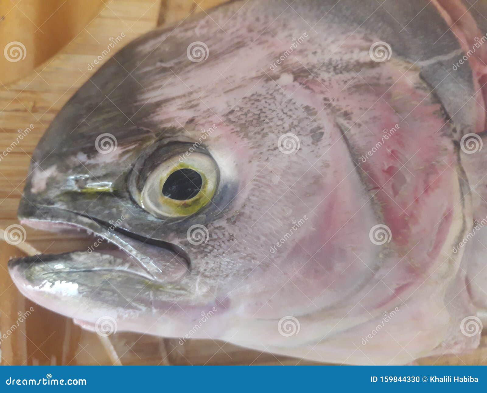 Fish clean and cutted stock photo. Image of cutted, kitchen - 159844330