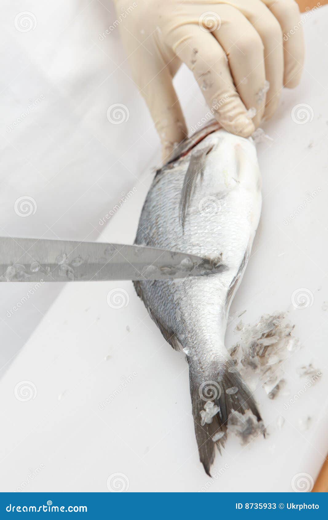 Fish cleaning stock image. Image of glove, cooking, tail - 8735933