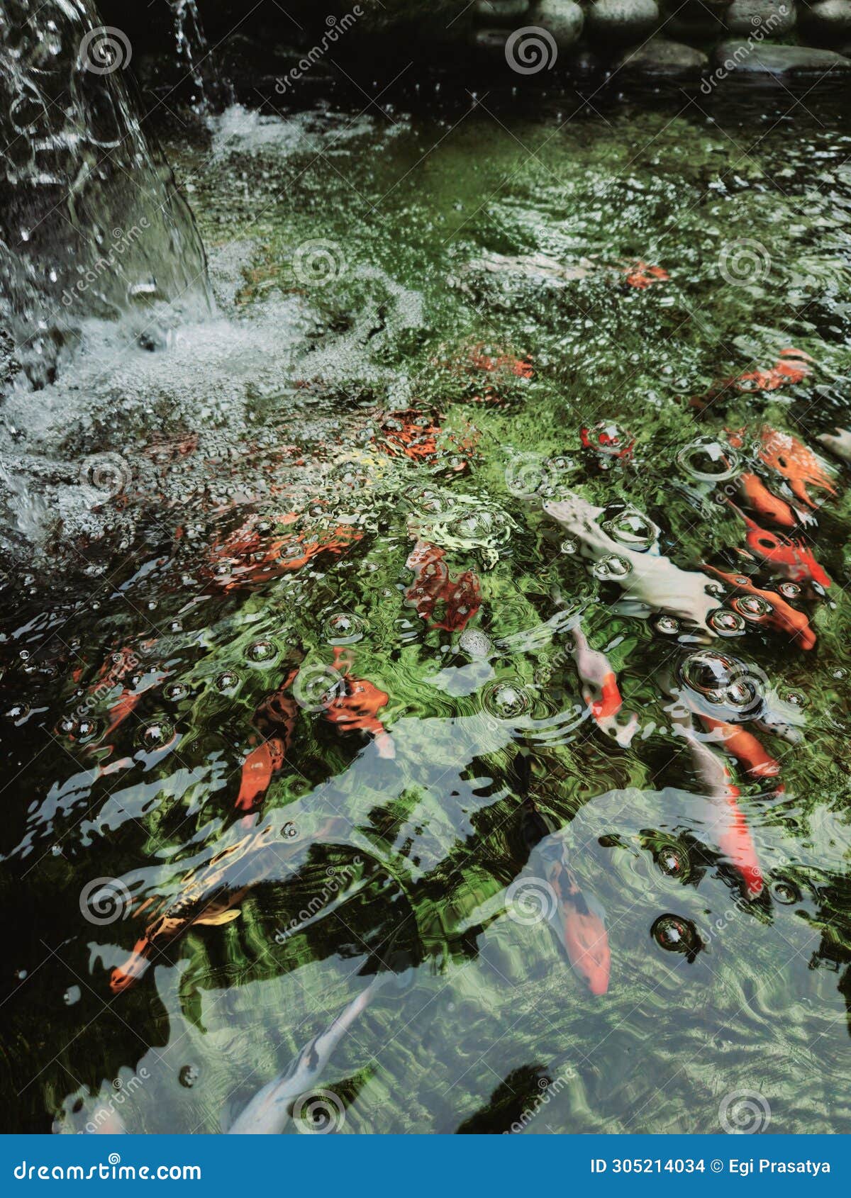 Fish in the Clear Water and Mini Waterfall Stock Photo - Image of fish ...
